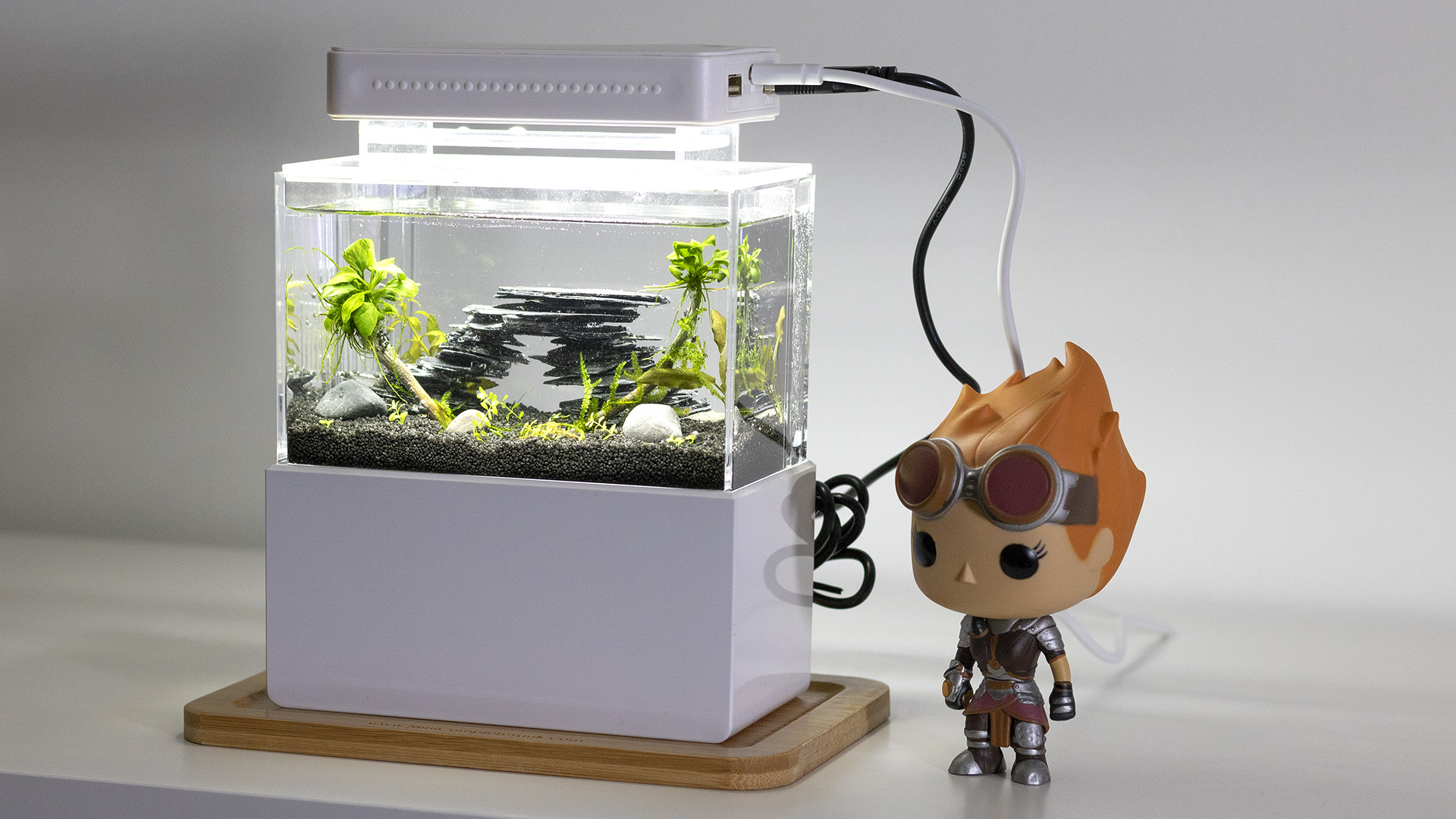 Le plus petit aquarium complet du monde ! Mini complete tank - Annie Roi