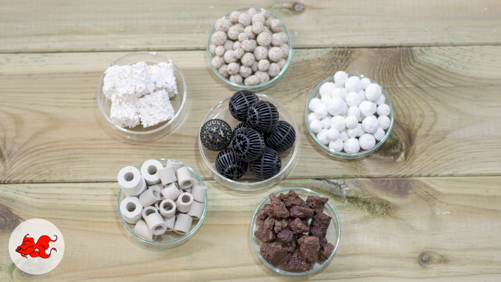 Les masses de filtration biologique - Annie Roi