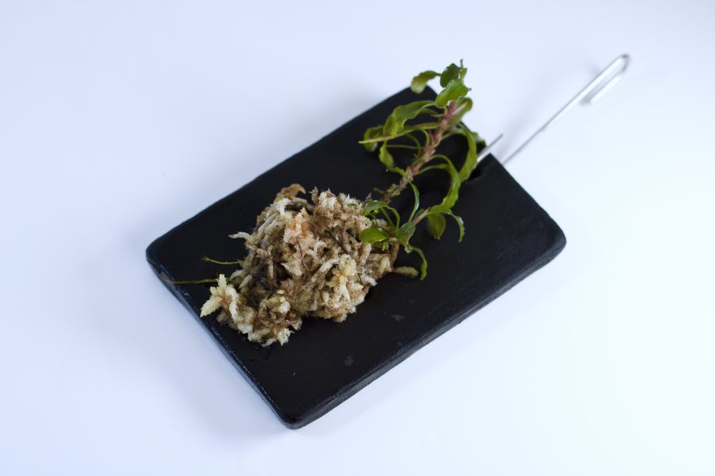 Tuto DOOA Terra plate - Annie Roi