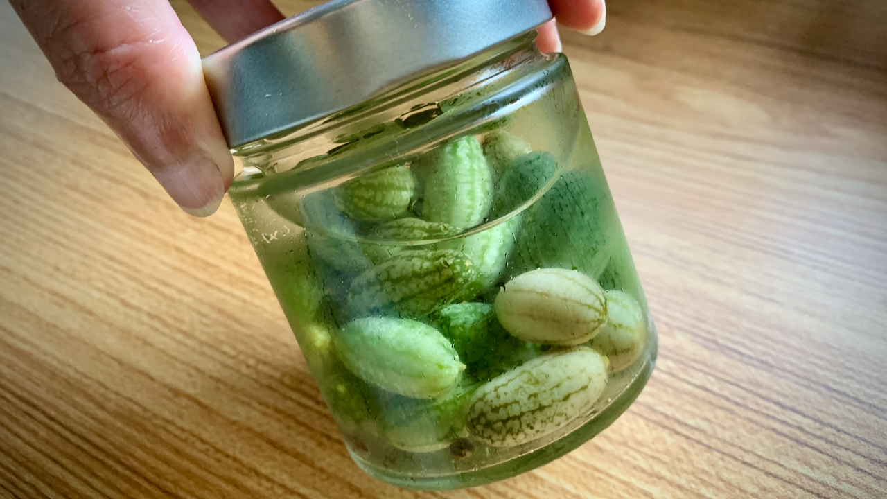 Mini concombre - Melothria scabra - Annie Roi